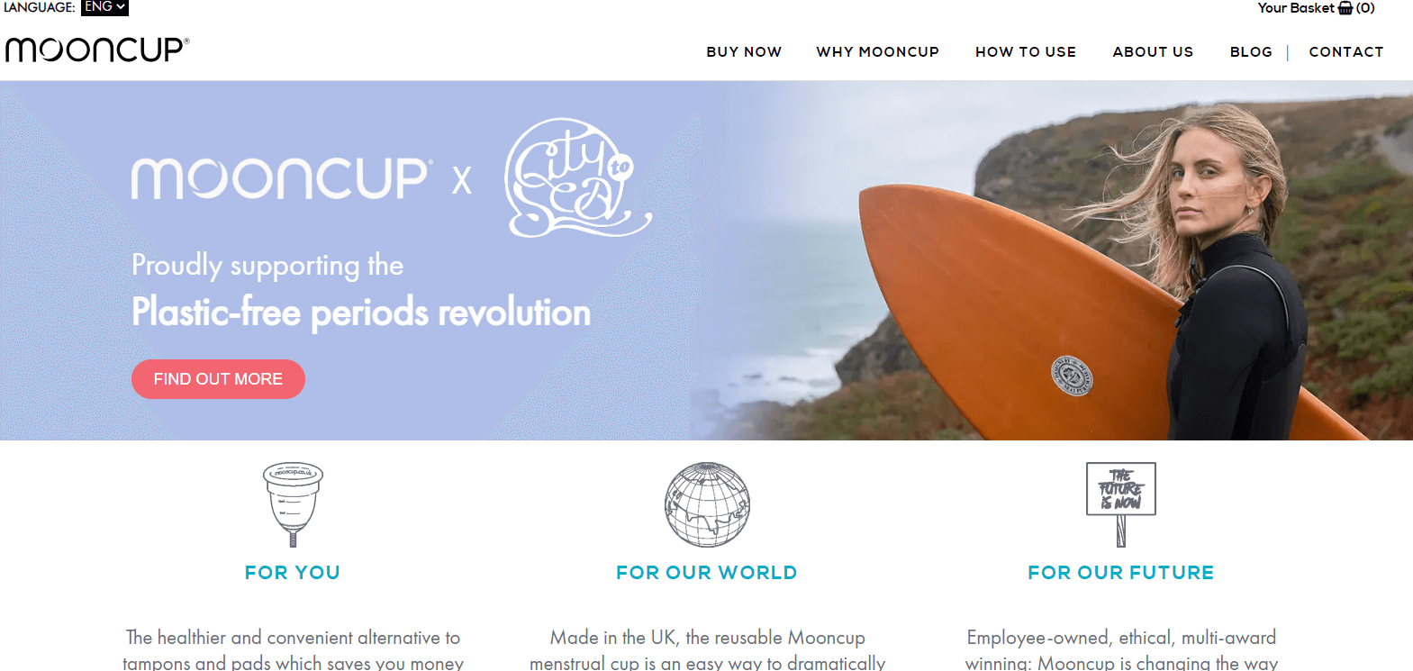 eCommerce web design packages--the lowdown on your options